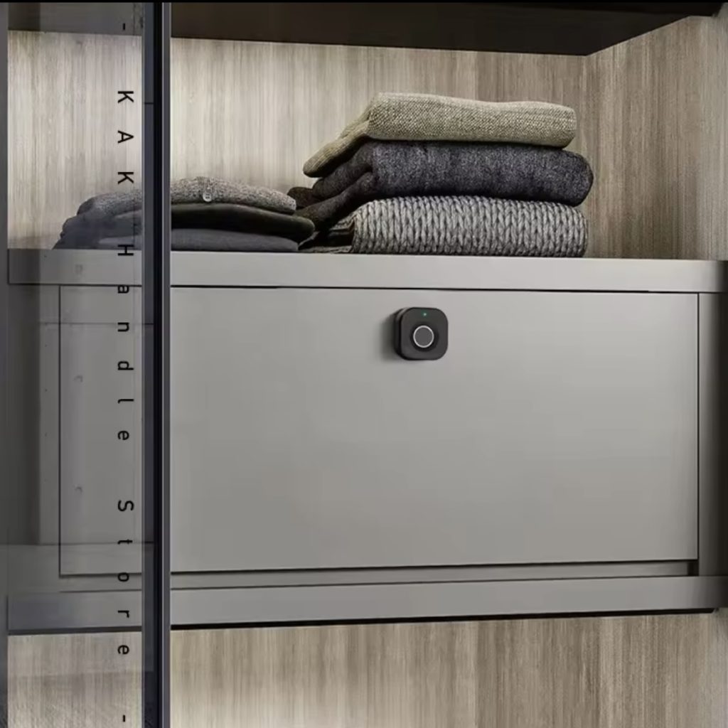Verona Smart Cabinet Lock-Fingerprint Cabinet Lock F040 ⋆ Anwer ...